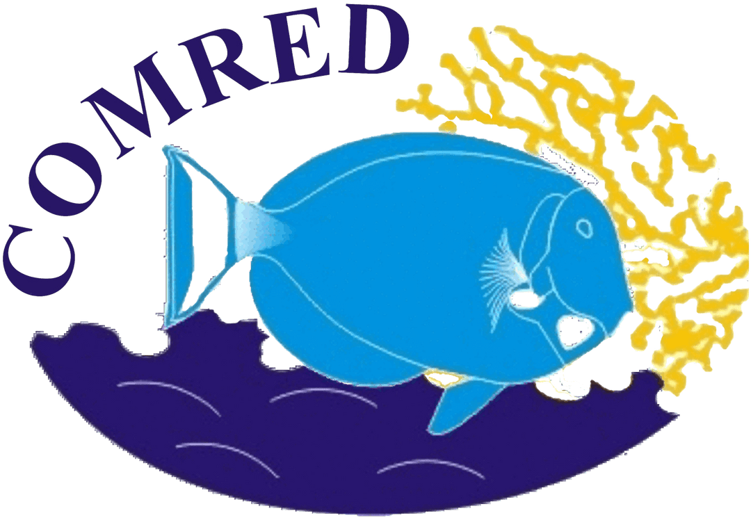 COMRED | Meet our team